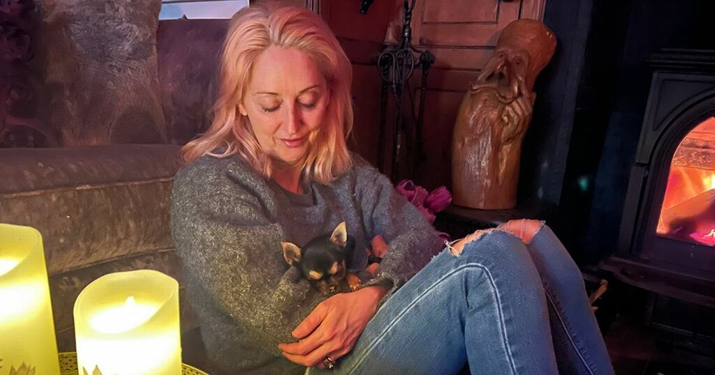 Pageant queen chihuahua's runway career under threat…