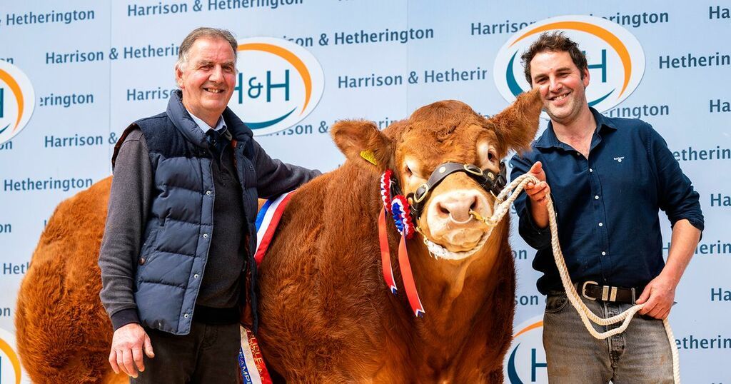 Farmer's prize bull fetches 'world record' price…