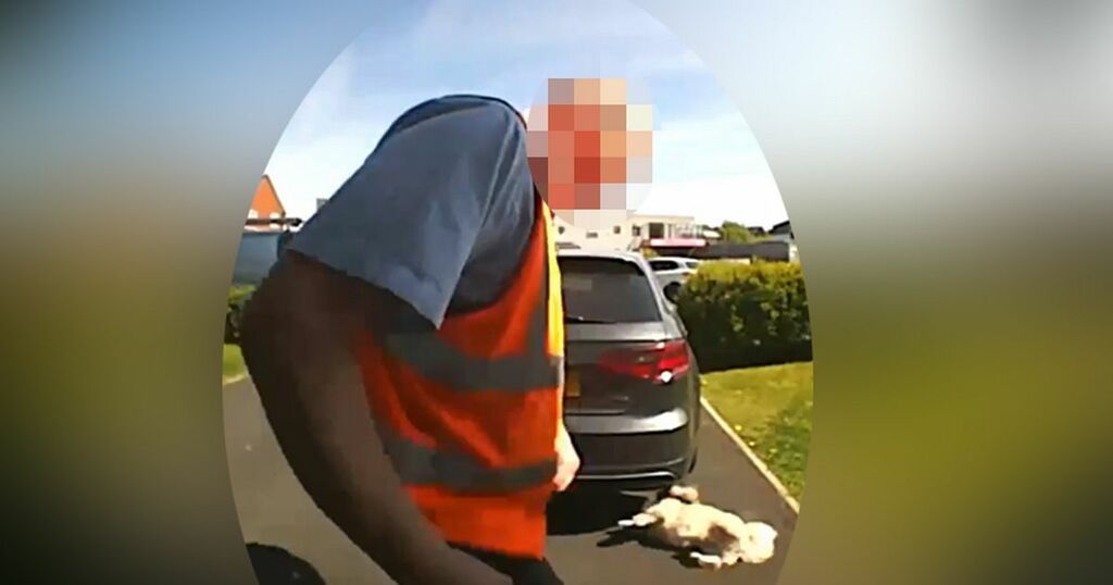 Video doorbell captures postman appearing to kick…
