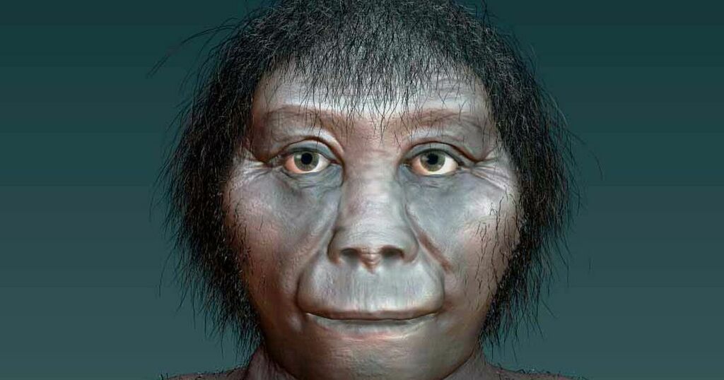 Mysterious 'hobbit' human species may not be extinct…