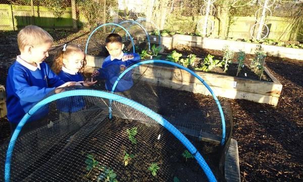 Inside the schools with edible playgrounds