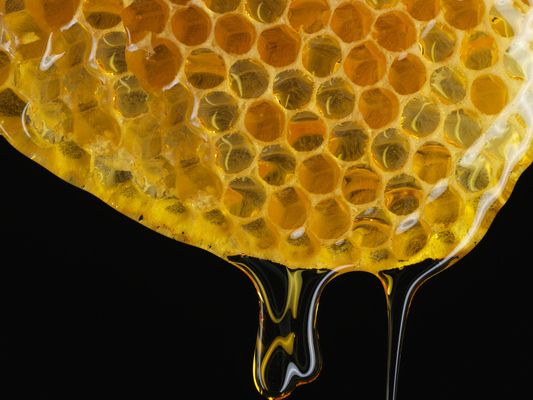 Trypophobia: The weird phobia driven by the internet