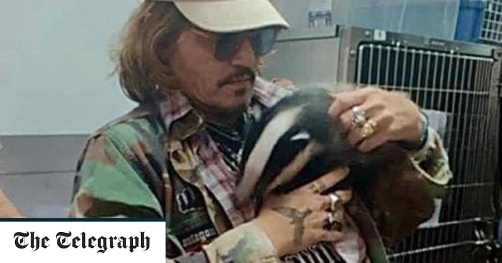 Johnny Depp cuddles badger cub named Freddie Mercury