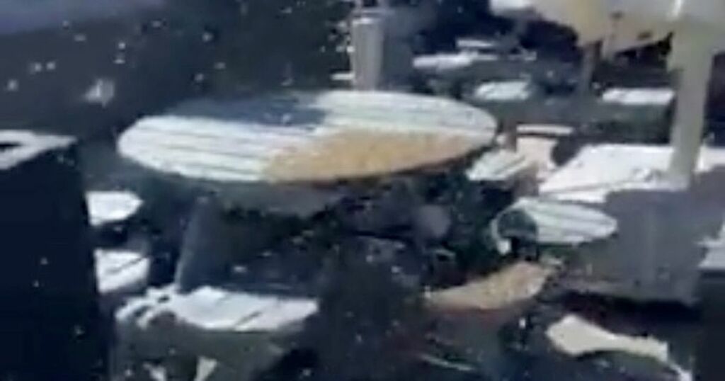 Petrifying clips shows swarm of angry wasps 'causing…