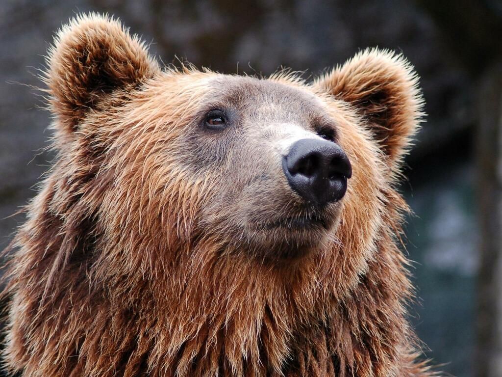S&P 500 Slumps: Is This The Start Of A Bear Market?