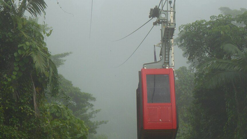 Mount Bellenden Ker tower and cable car mark 50 years…