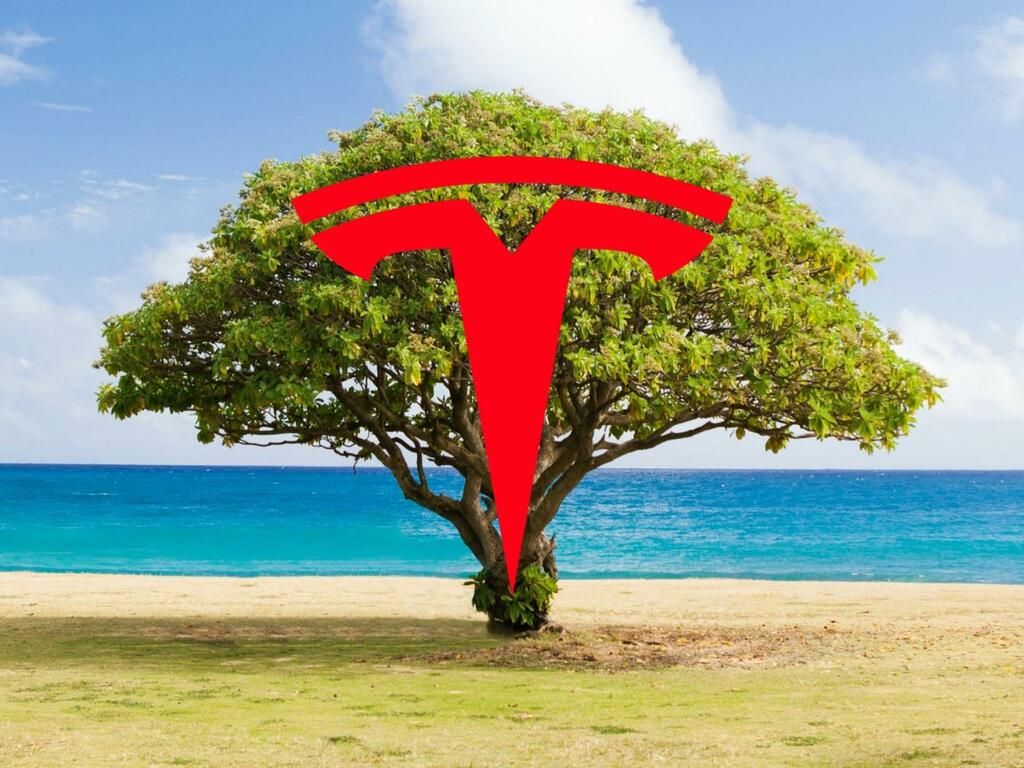 What Does Elon Musk Mean By The Tesla Tech Tree?…