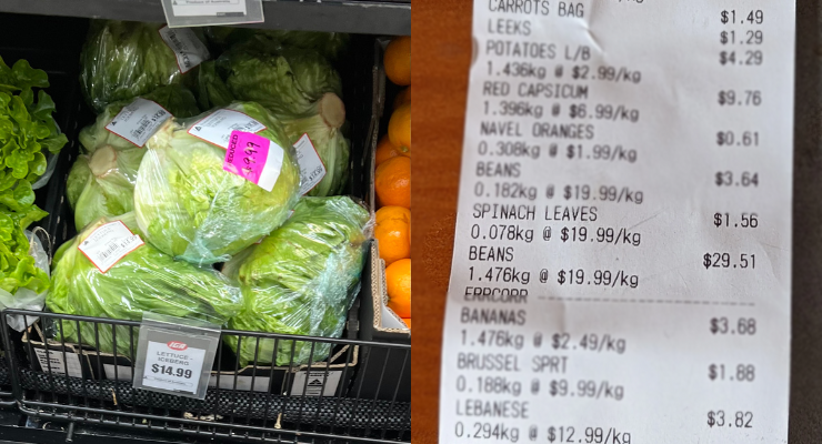 Lettuce prices romaine high — here are some tips on…