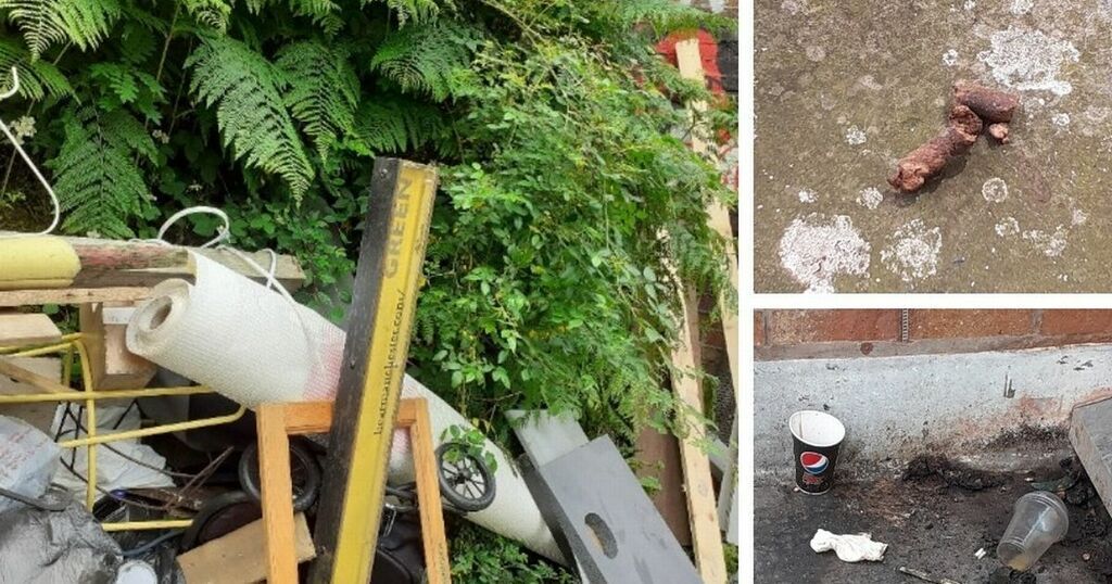 'It's like a pack of animals': Disgust as human poo…