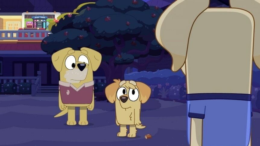 Bluey shows that sport is more than a game, and…