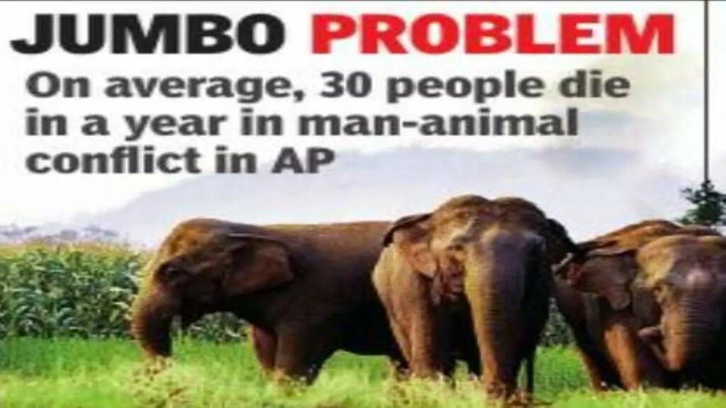 Man-animal conflict worsens in Andhra Pradesh, jumbos…