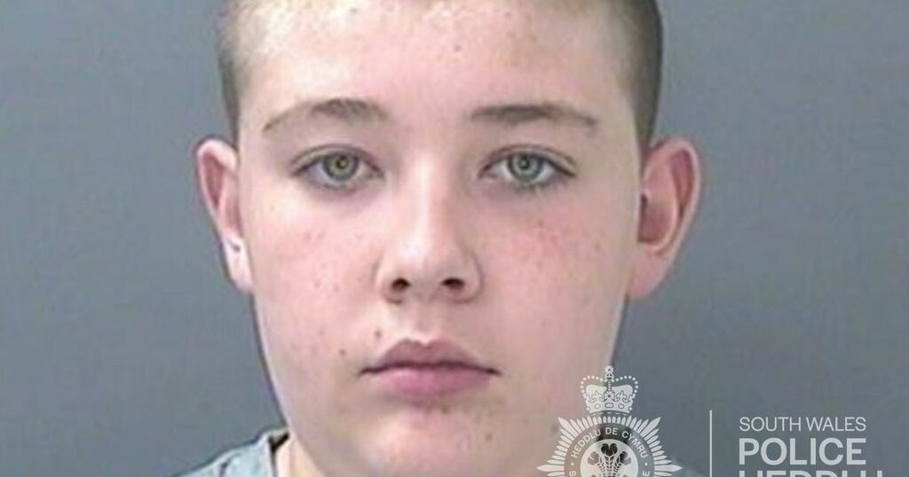 'Terrified' foster carers of Logan Mwangi's murderer…