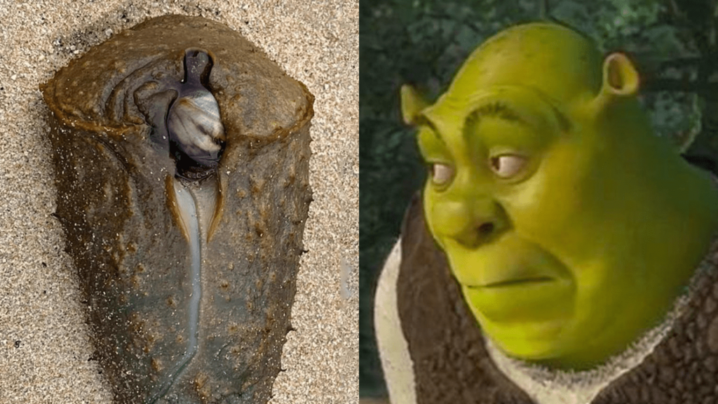 A Monstrous Green Alien Thing That Looks Like Shrek’s…