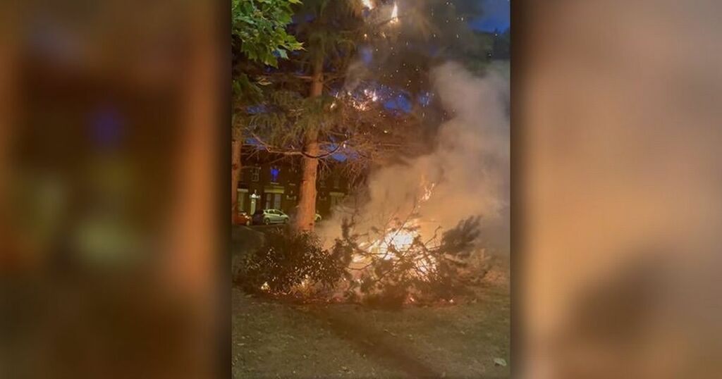 Footage captures moment tree catches fire in Tameside