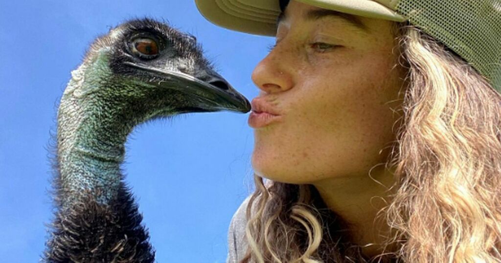 Emmanuel the Emu - who is he and why is he the newest…