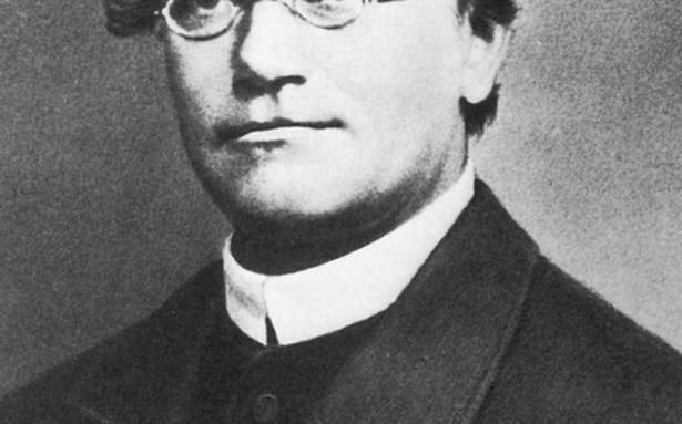 Explained| Genetics and its Mendelian inheritance