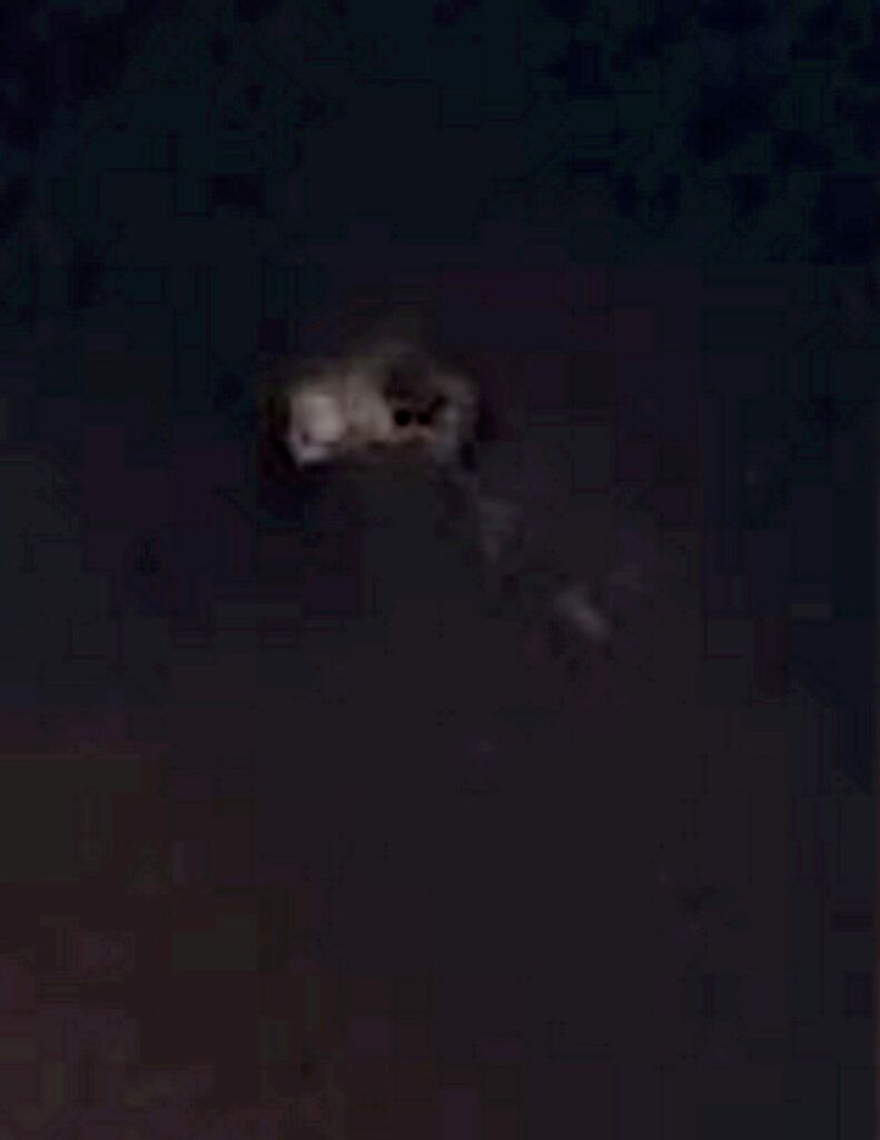 A Doctor Filmed Two Bizarre UFOs Floating Above His…