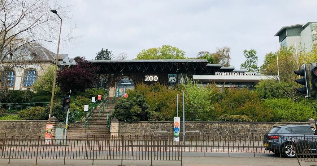 Edinburgh Zoo hits back as visitor makes complaint…