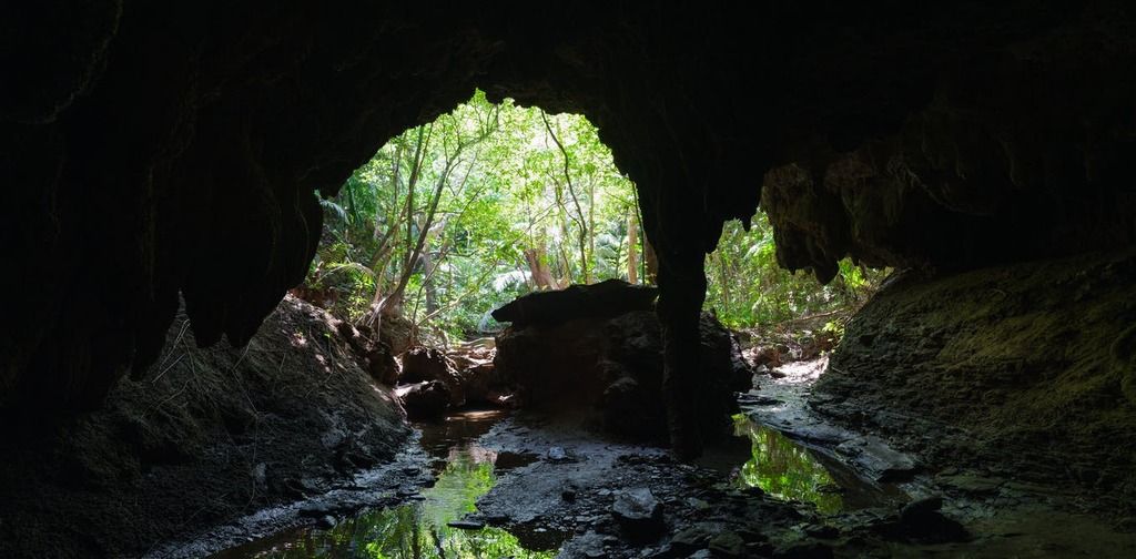 Explorers just uncovered Australia’s deepest cave. A…