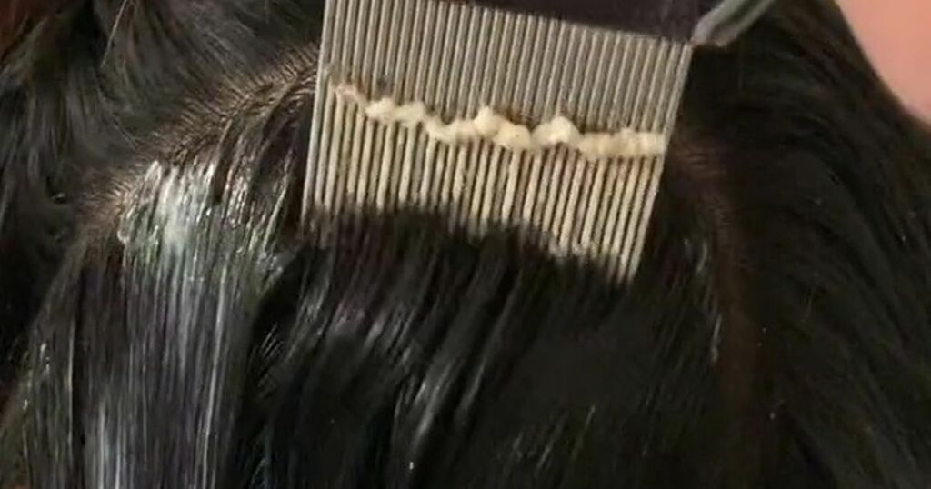 Hairdresser shares sickening lice infestation in…