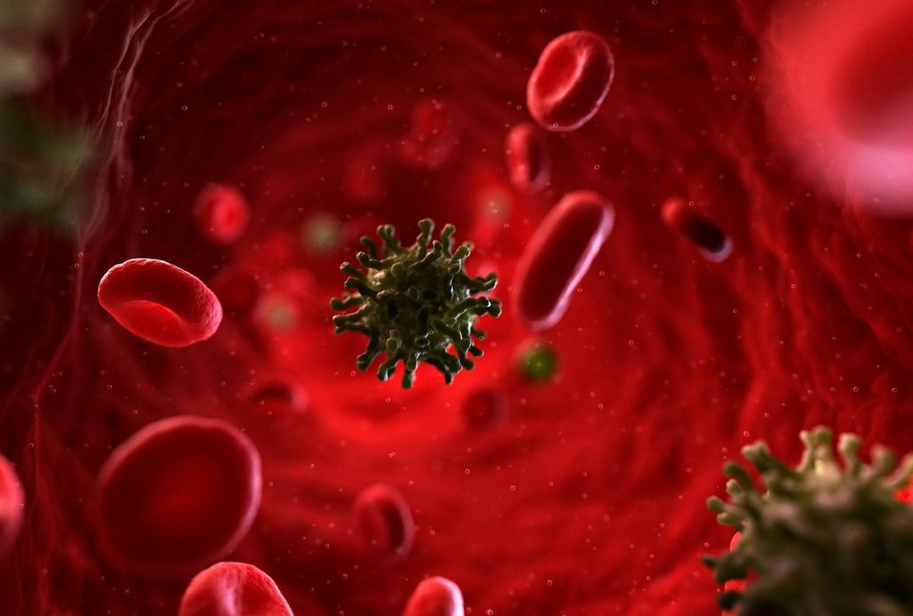 New Langya virus infects 35 in China