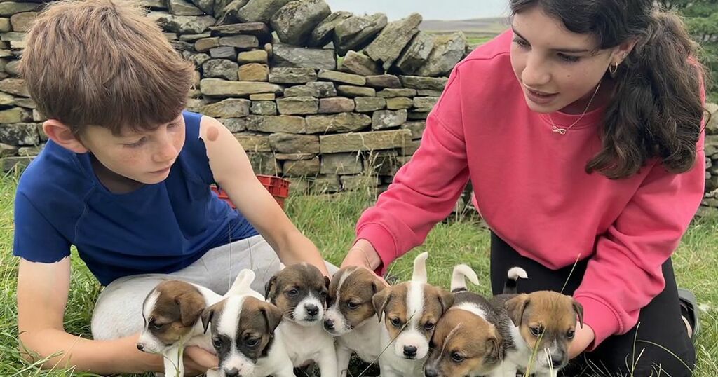 Our Yorkshire Farm's Amanda Owen delights fans with…