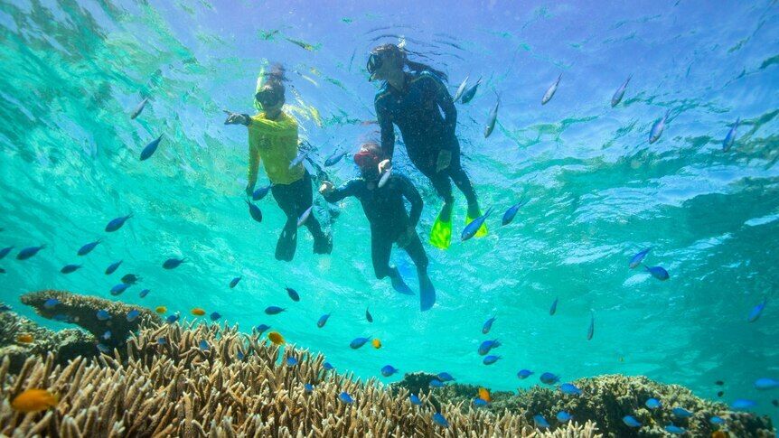 Great Barrier Reef's Master Reef Guides help map,…