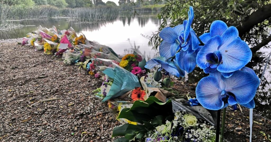 Desperate attempts to save teenager who 'disappeared'…