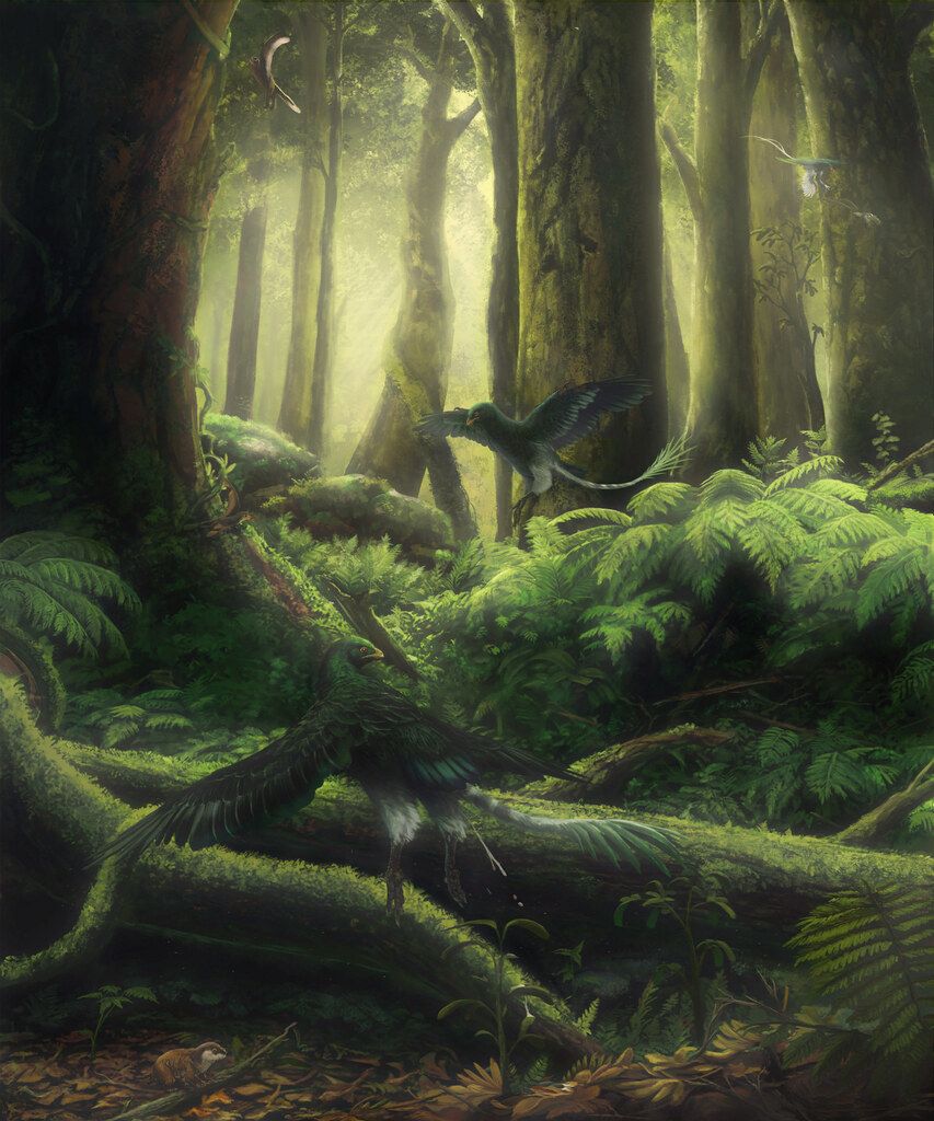 Bird That Lived 120 Million Years Ago Was First To Eat…