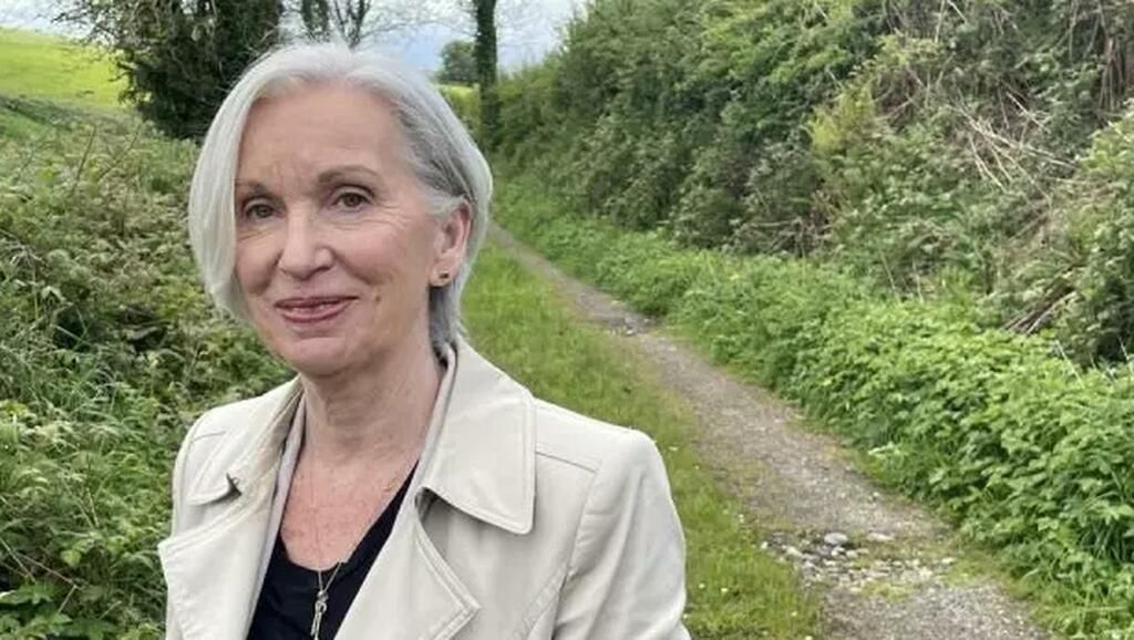 Cold Case Collins review: Michael Collins murder probe…