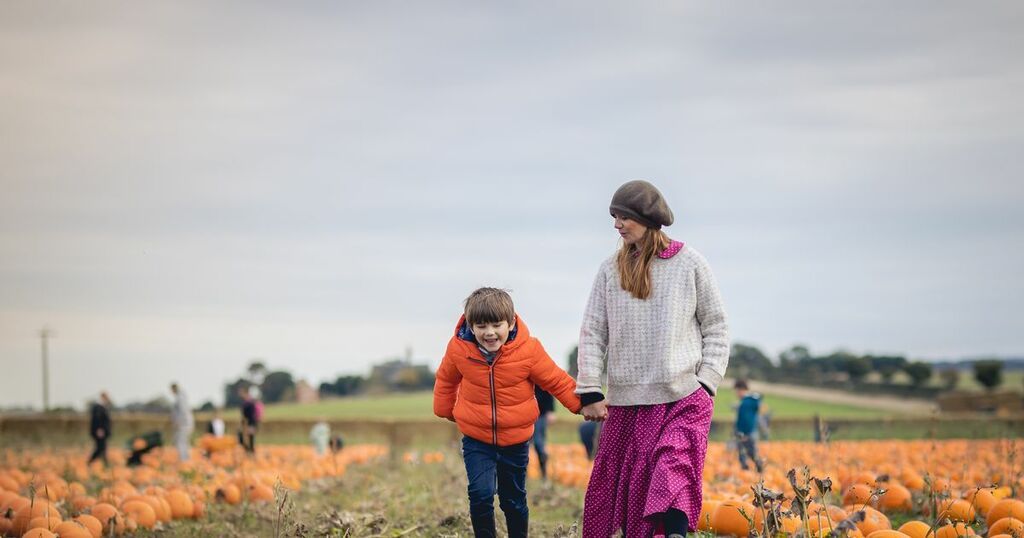 East Lothian farm's Pumpkin Festival is back
