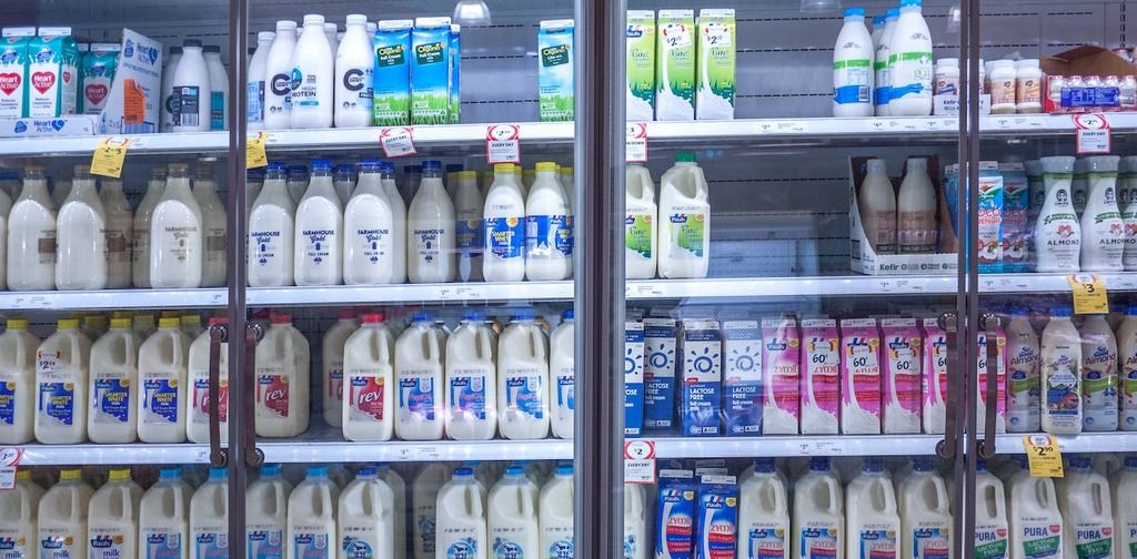 Not like udder milk: 'synthetic' dairy milk made…