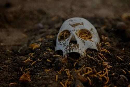 'House of the Dragon' Episode 2's maggot scene is…