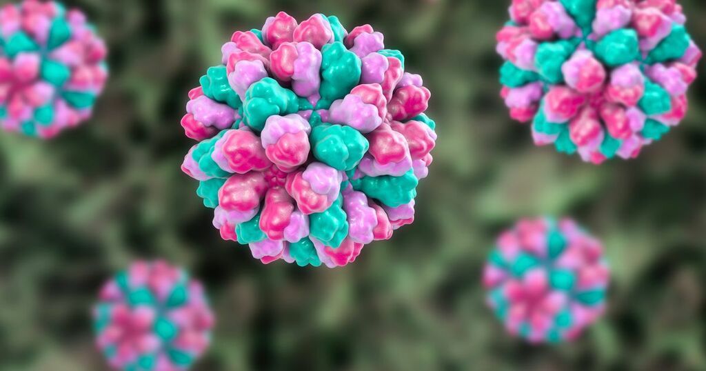 Norovirus: How to protect yourself as winter vomiting…