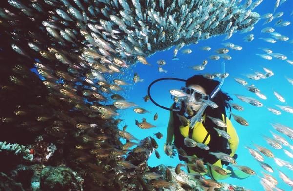 Great Barrier Reef: tourism operators urge Australian…
