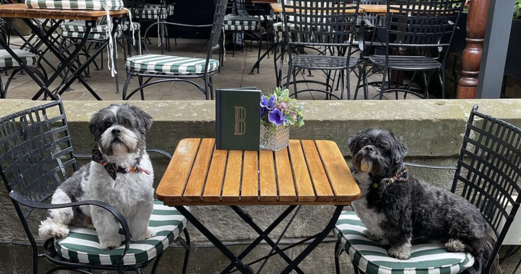 Edinburgh venue wins Scotland's dog-friendly pub of…