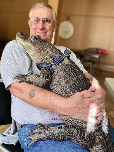 How an alligator became an emotional support animal:…