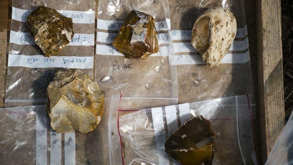 Half-A-Million-Year-Old Tusk From Extinct Giant…