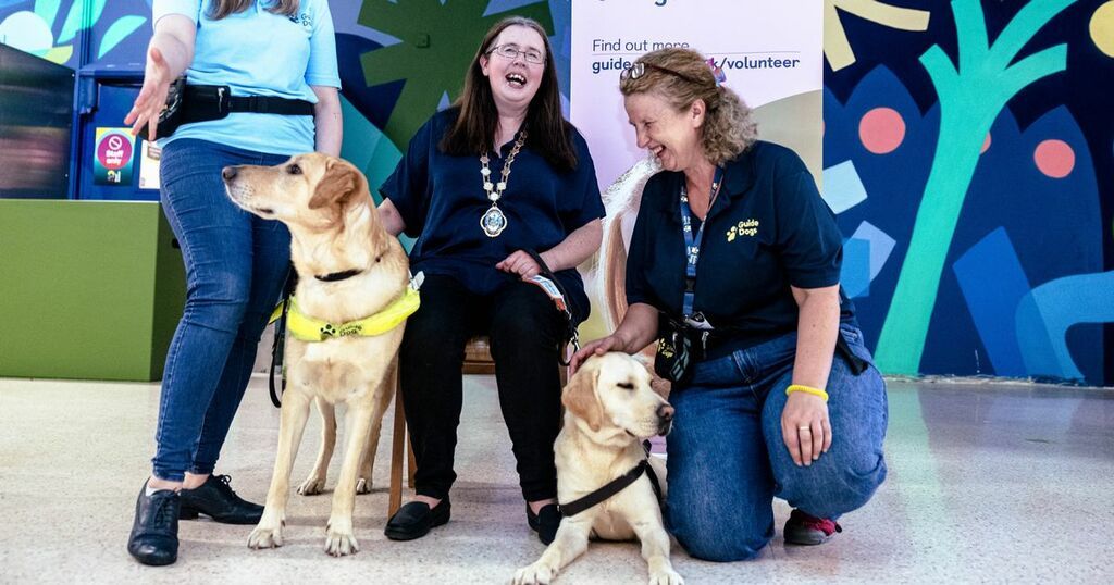 Guide Dogs NI named chosen charity for Belfast Deputy…