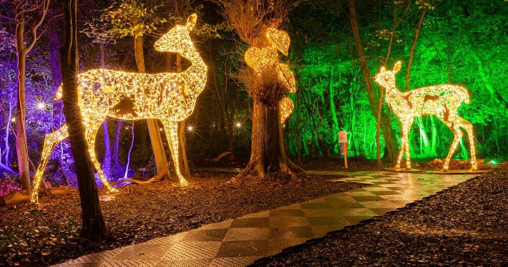Wonderlights announces return to Malahide Castle with…