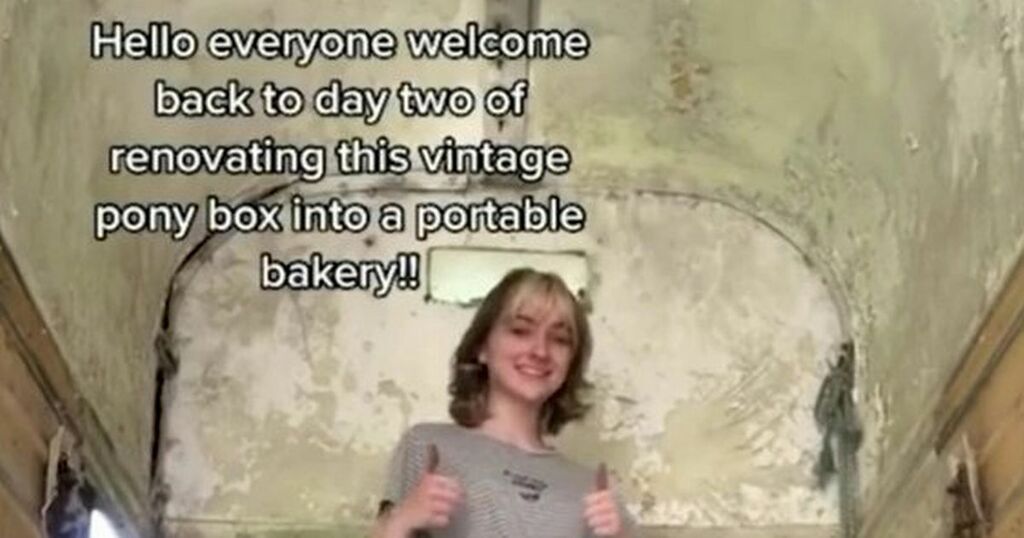 Baking mad teen transforms old pony box into pop-up…