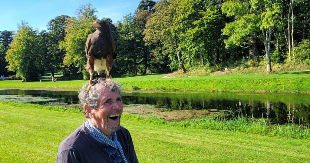 Charlie Bird says he is 'blown away' by tributes as he…