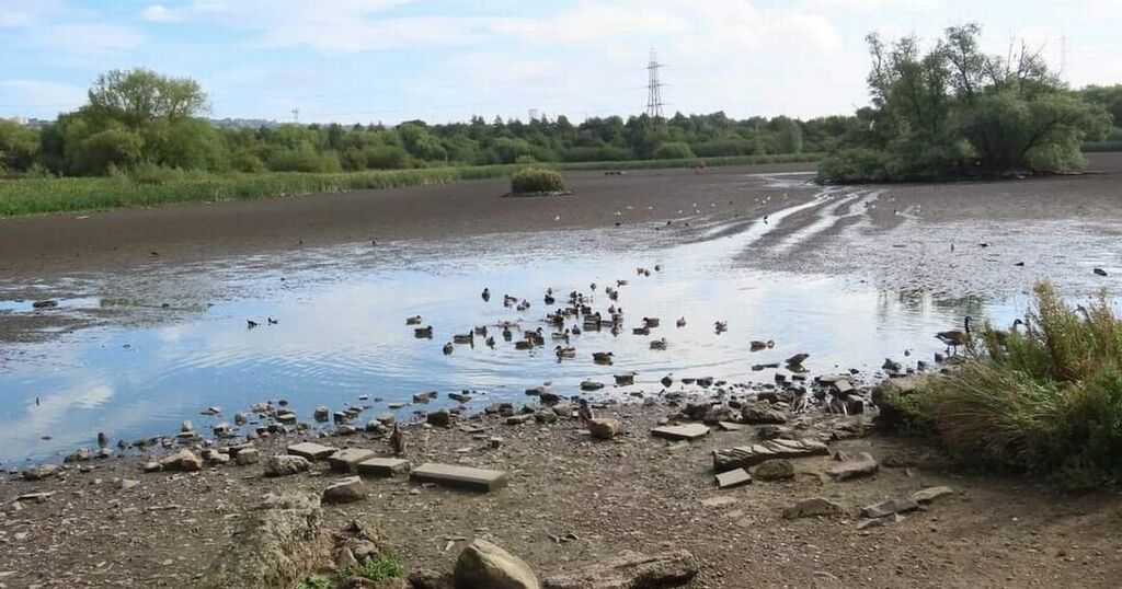 Gateshead residents worried as wildlife-rich pond…