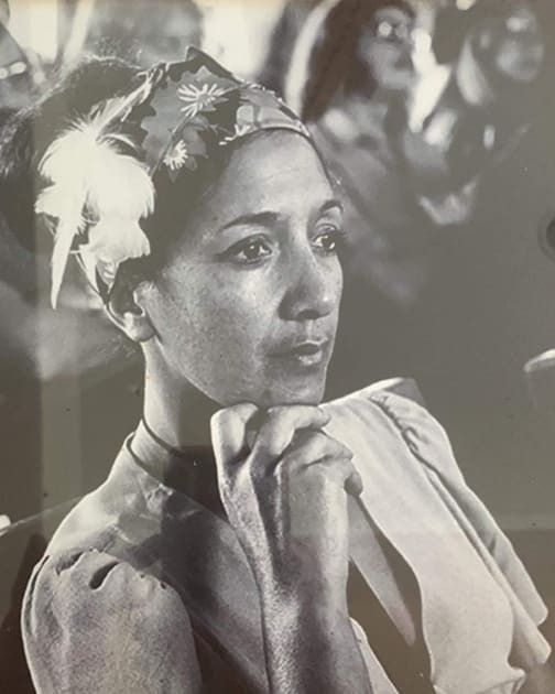 Wahine Toa: Hana Te Hemara and the fight for the Maori…