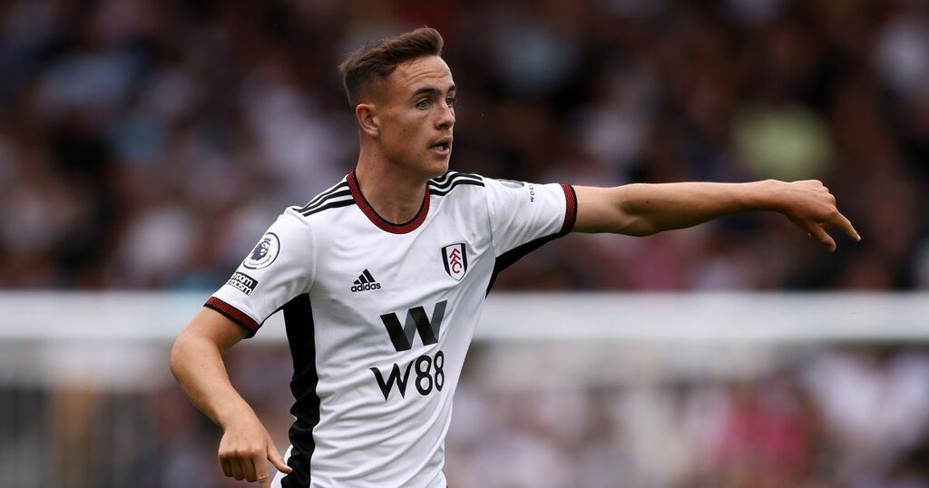 Who is new Wales wonder Luke Harris, the Fulham…
