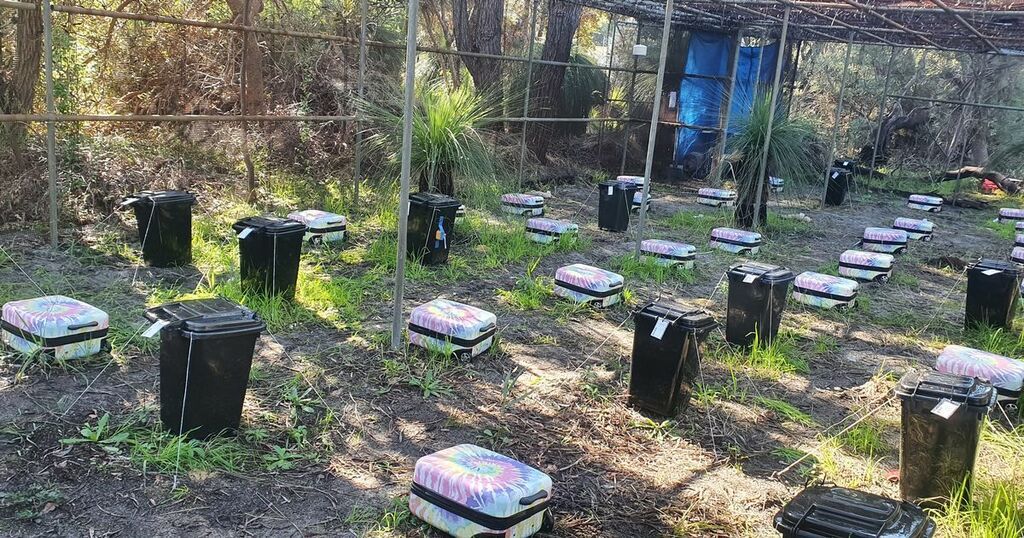 World's largest study of decomposing bodies sees 70…