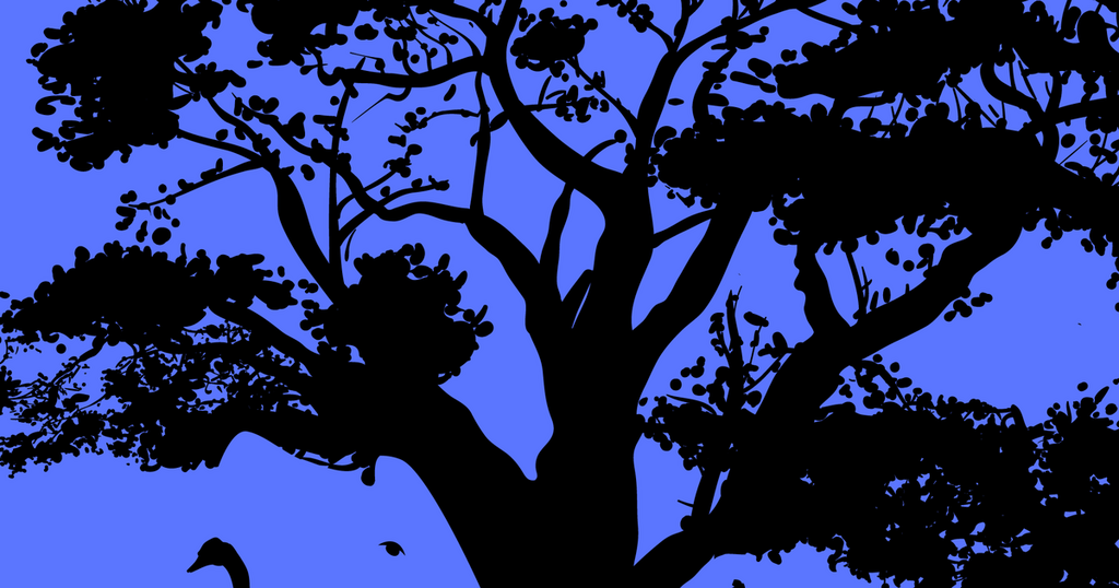 The optical illusion that reveals a key personality…