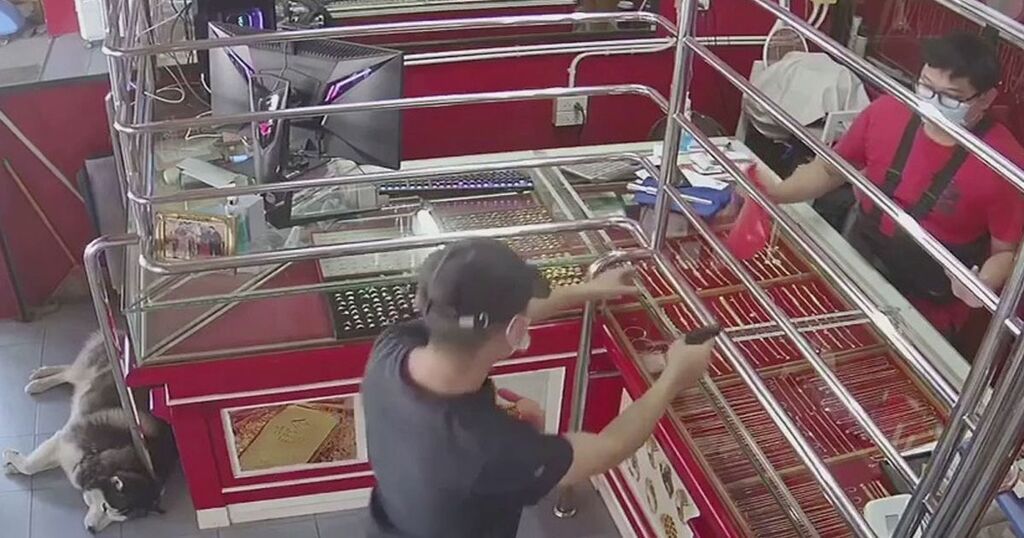 People in stitches as 'world's most useless guard dog'…