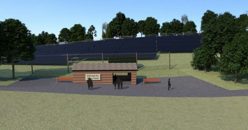 Edinburgh Zoo solar farm set to power enclosures with…
