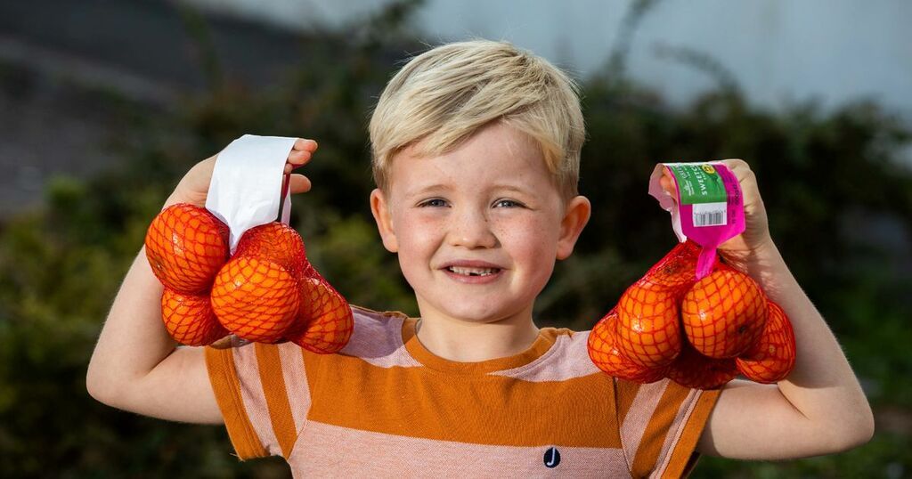 Boy becomes real-life Simpsons character after turning…